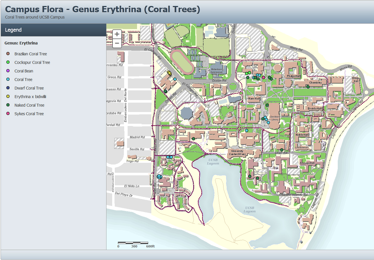 Take a Tour of the Coral Trees on the UCSB Campus | UC Geography