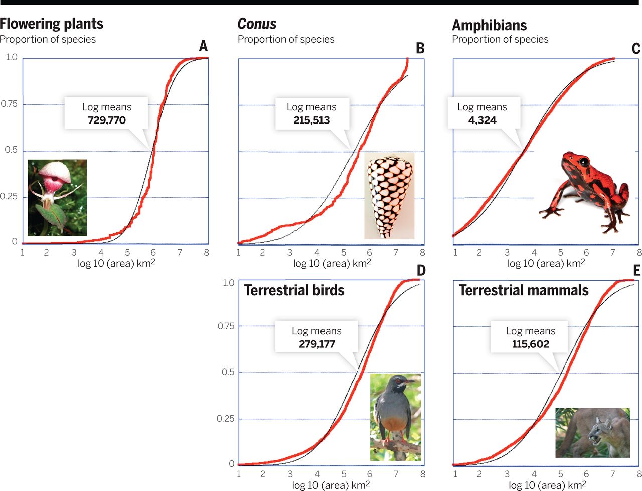 Human Actions Responsible for Sixth Mass Extinction in Earth’s History ...