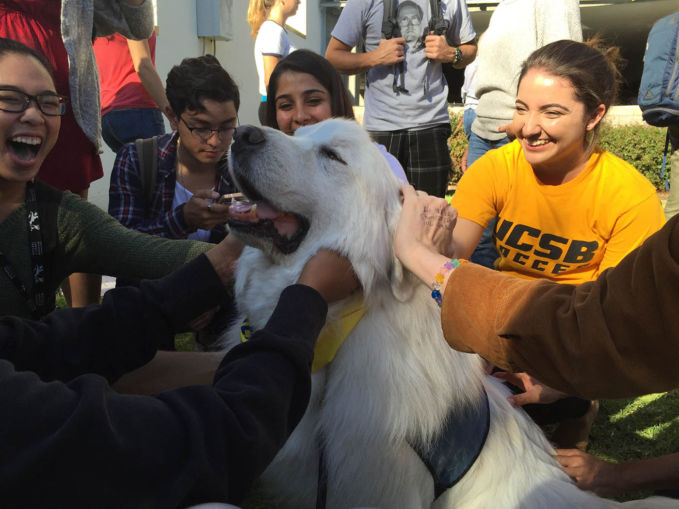 Dickey’s Delightful Doggies Define Departmental Dedication to Outreach ...
