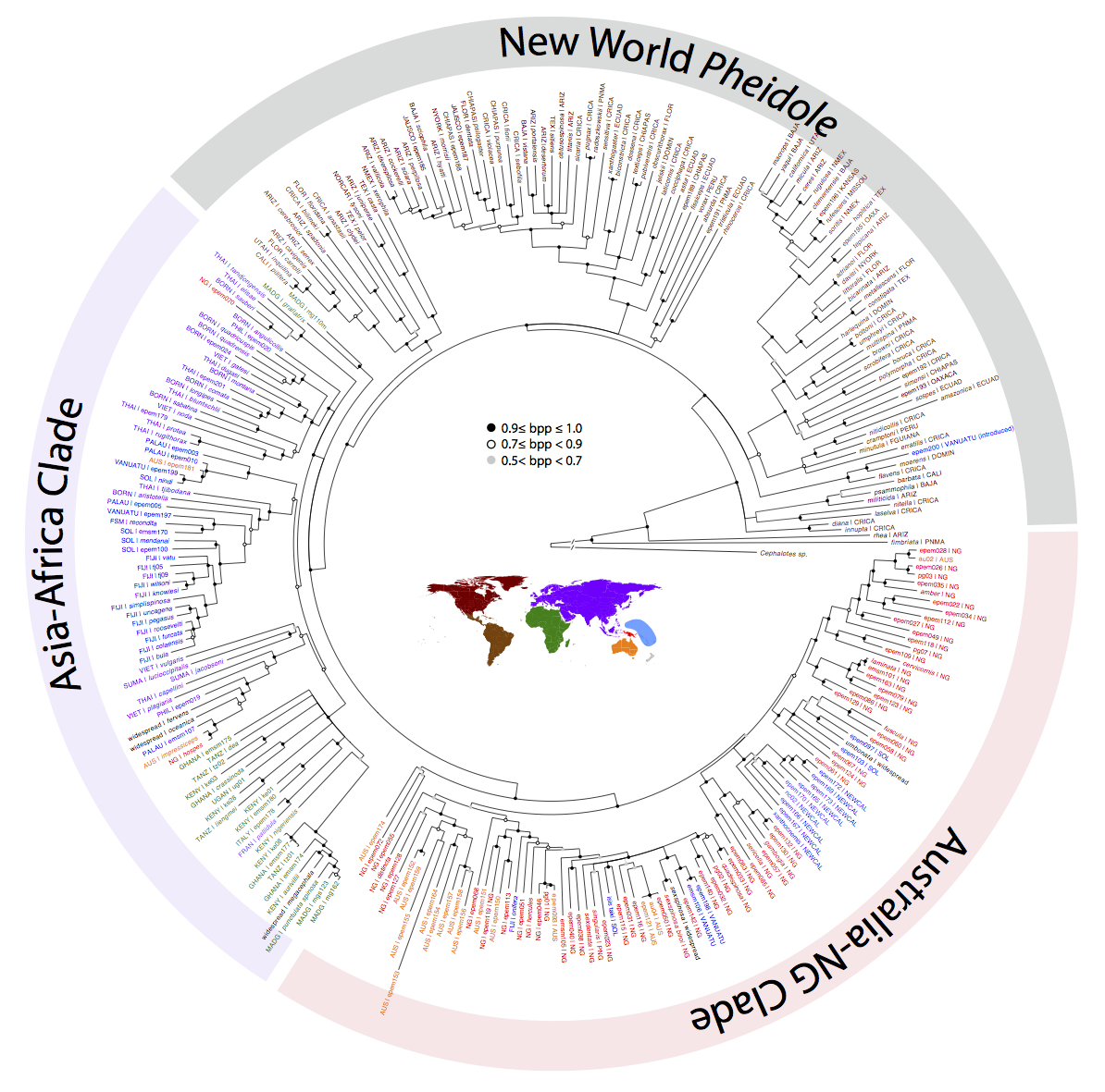 The Ants That Conquered the World | UC Geography